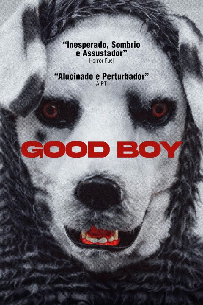 Good Boy (2022) – Meio Amargo